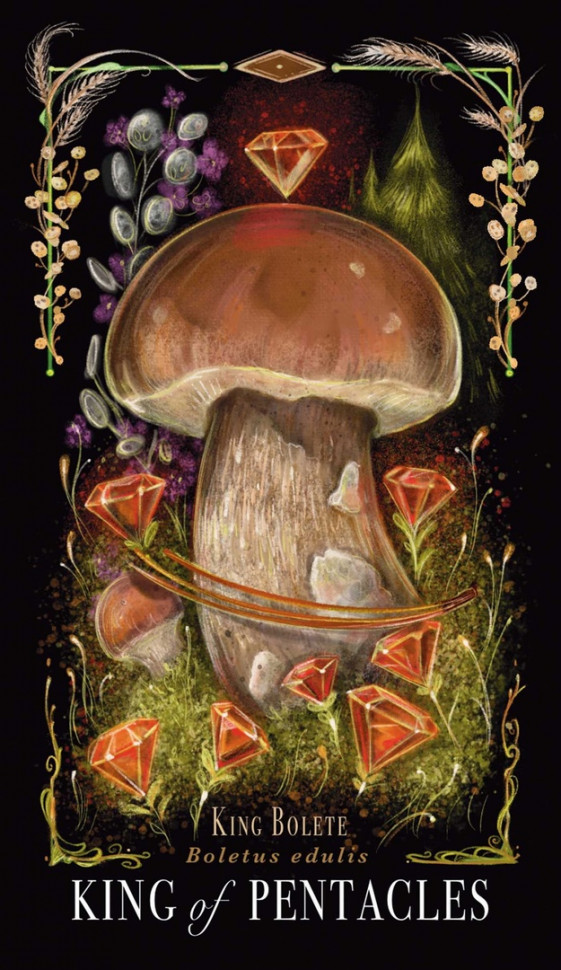 Midnight Magic: A Tarot Deck of Mushrooms купить – КАРТЫ ТАРО