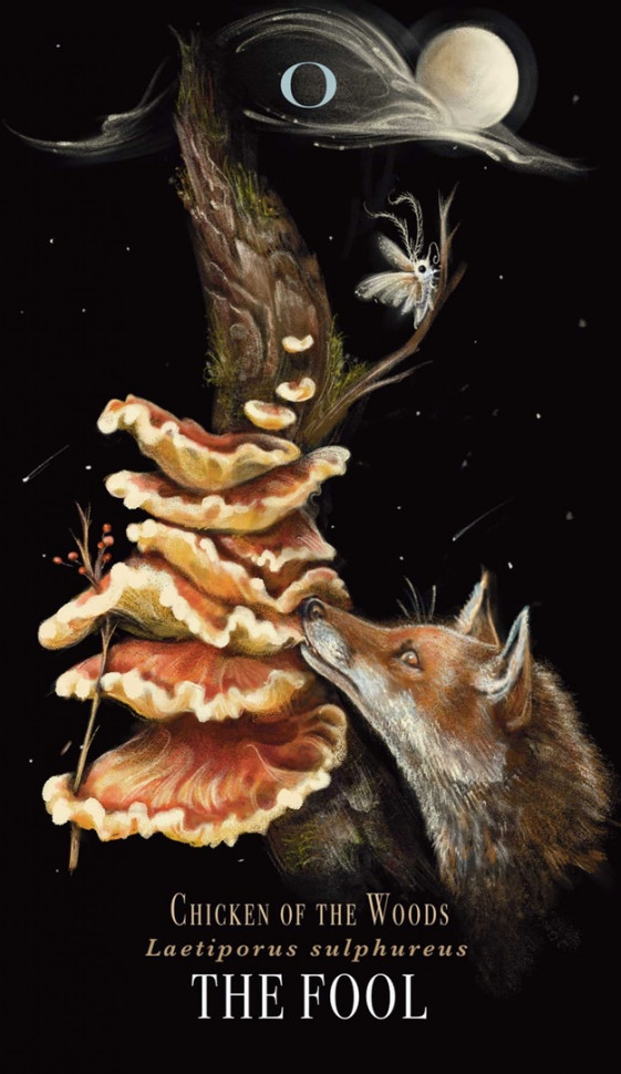Midnight Magic: A Tarot Deck of Mushrooms купить – КАРТЫ ТАРО