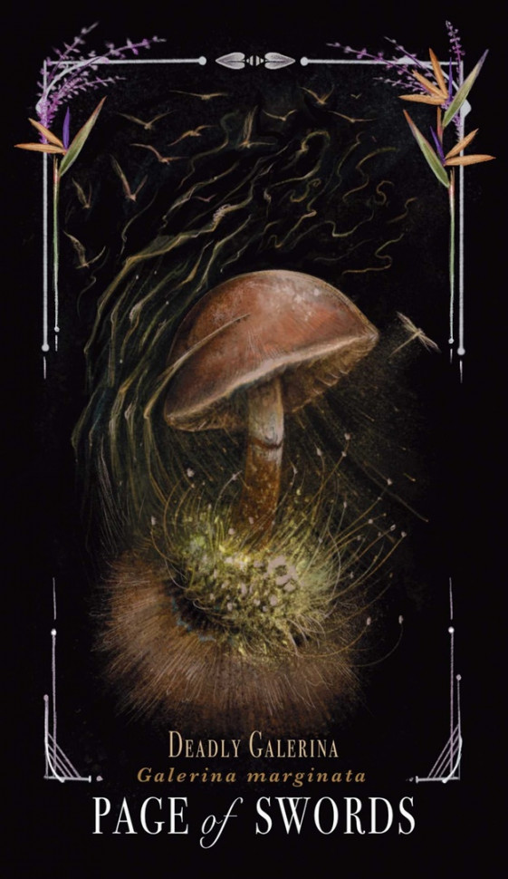 Midnight Magic: A Tarot Deck of Mushrooms купить – КАРТЫ ТАРО