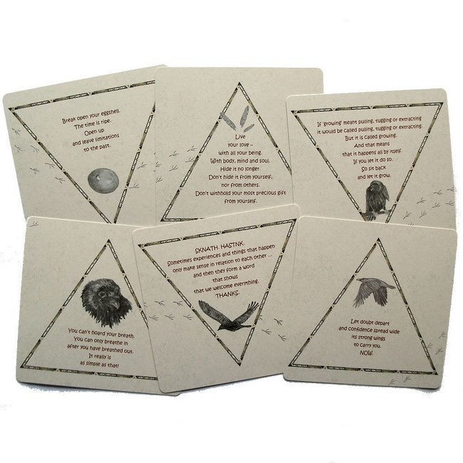 Raven Cards Oracle купить – ОРАКУЛЫ